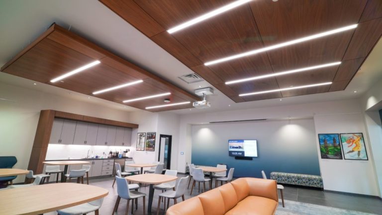 Modular Wall Panels: Modern Design, Acoustic Performance & Efficiency